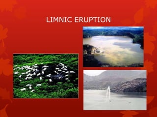 Natural disasters Group5 | PPT