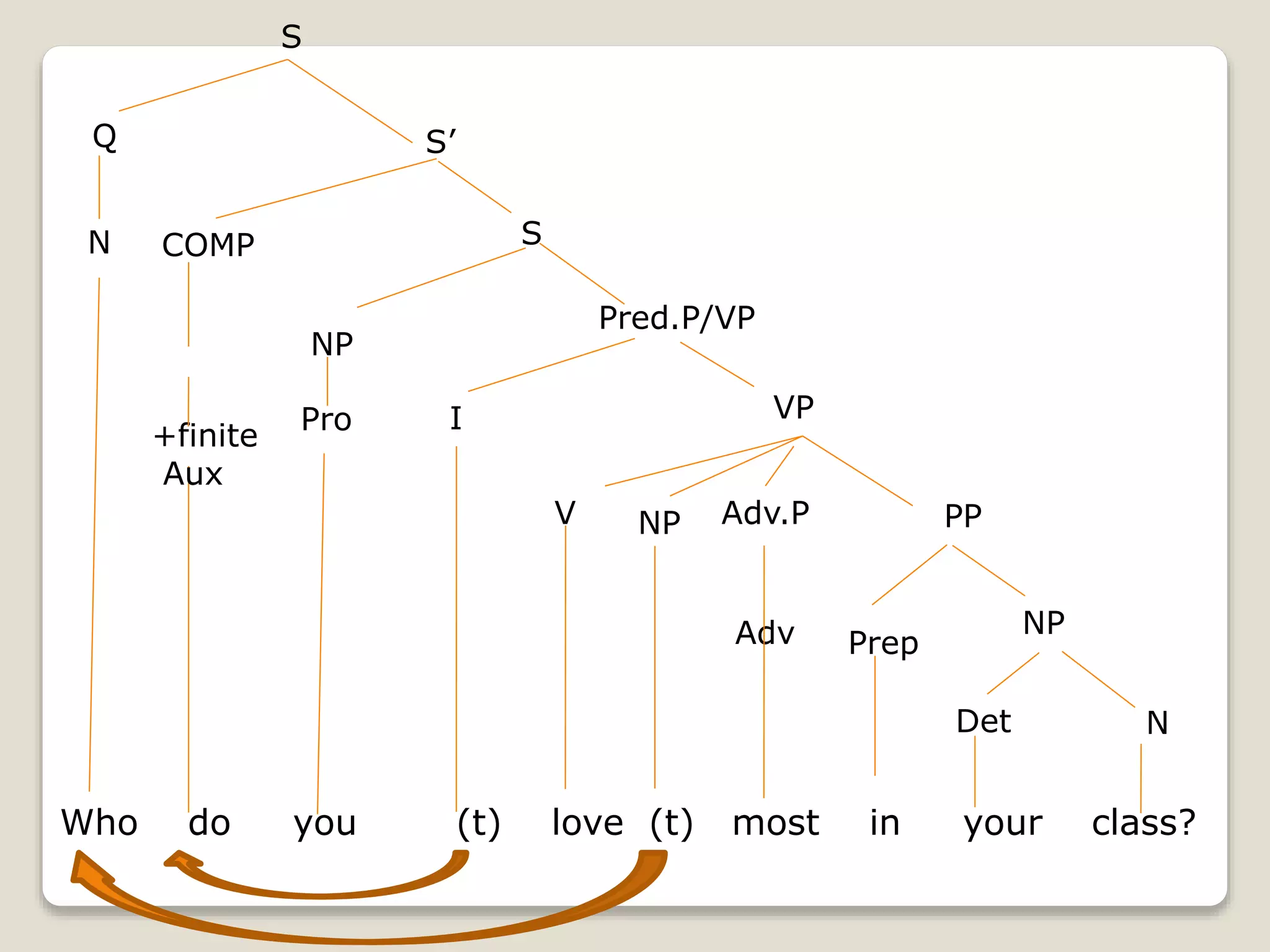TREE DIAGRAMS WH-QUESTION | PPTX