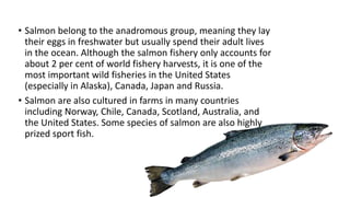 Fishing in Pakistan a short introduction | PPTX