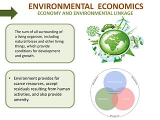 ECONOMICS OF SUSTAINABILITY | PPTX