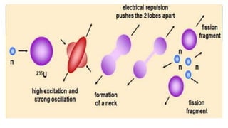 Theory of fission and spontaneous fission Group 5.pptx