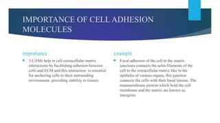 CELL PHYSIOLOGY PRESENTATION GROUP 5.pptx | Free Download