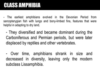 Group 5 amphibia | PPT | Reptiles | Pets