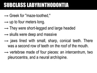 Group 5 amphibia | PPT | Reptiles | Pets