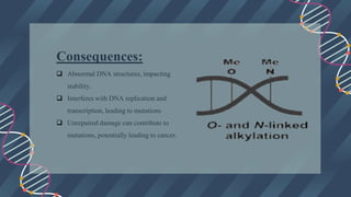Group 5 - THE DNA Damage & Repair MECHANIMpptx | PPT