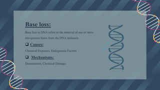 Group 5 - THE DNA Damage & Repair MECHANIMpptx | PPT