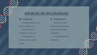 Group 5 - THE DNA Damage & Repair MECHANIMpptx | PPT