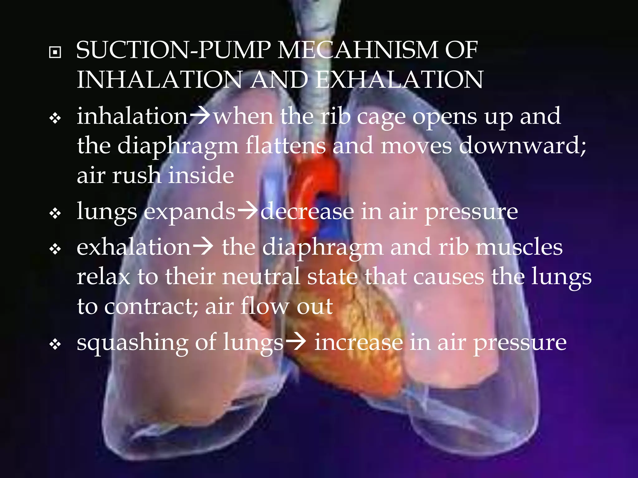 Comparative Anatomy - Respiratory System | PPTX