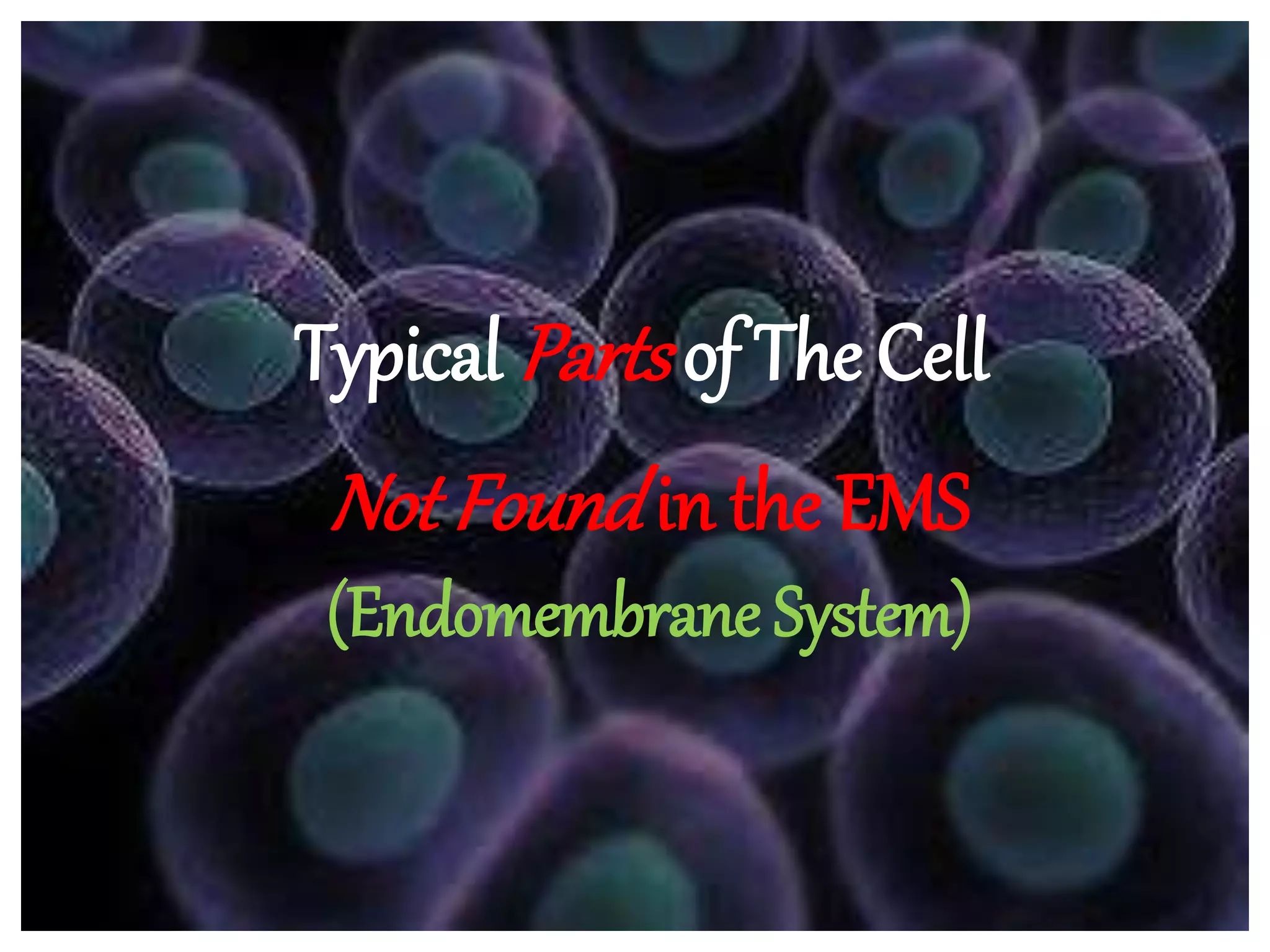Typical Parts of the Cell Not Found in the EMS (Endomembrane System) | PPT