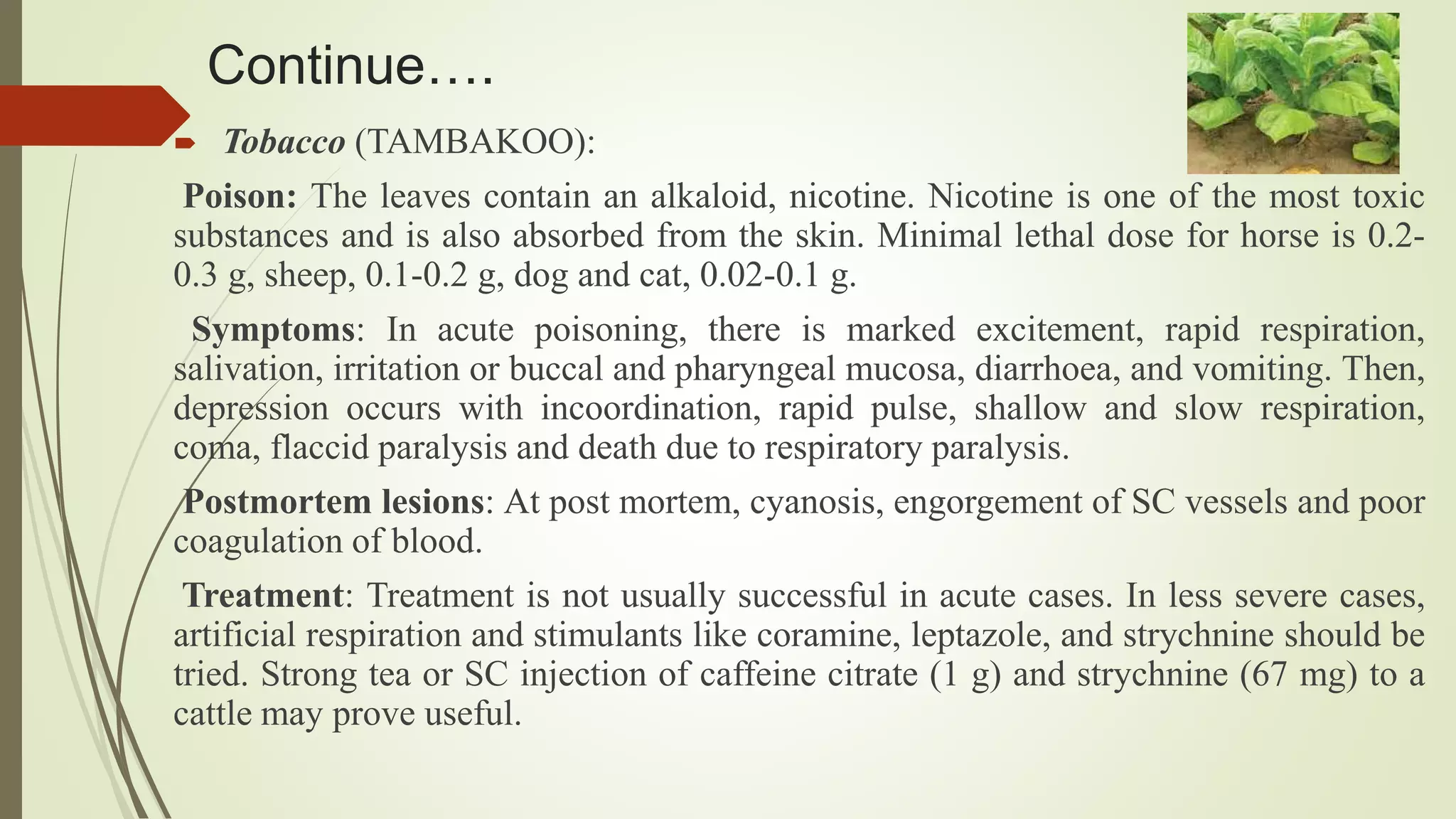 Group 5 animal and plant poison.pptx