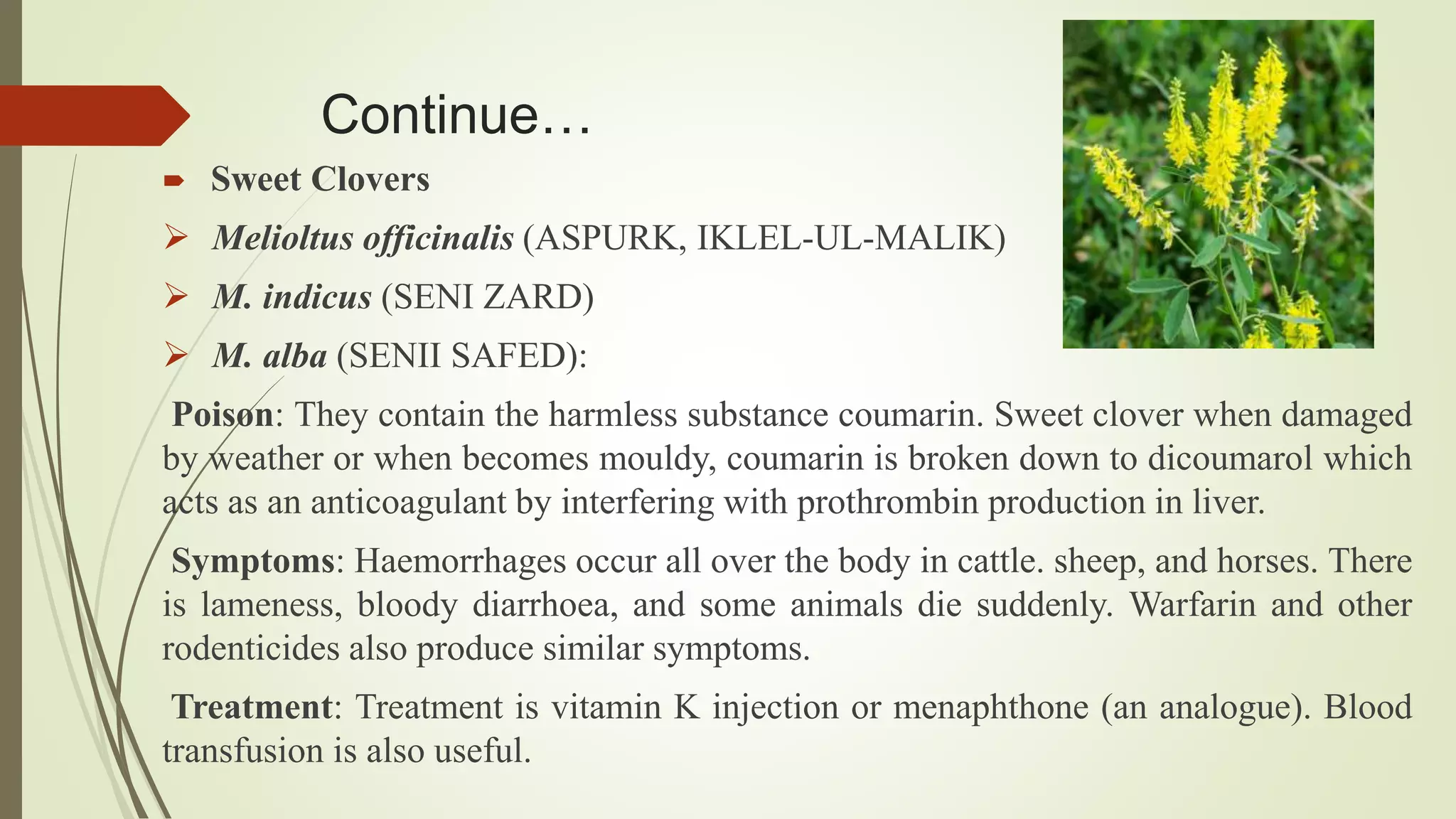 Group 5 animal and plant poison.pptx