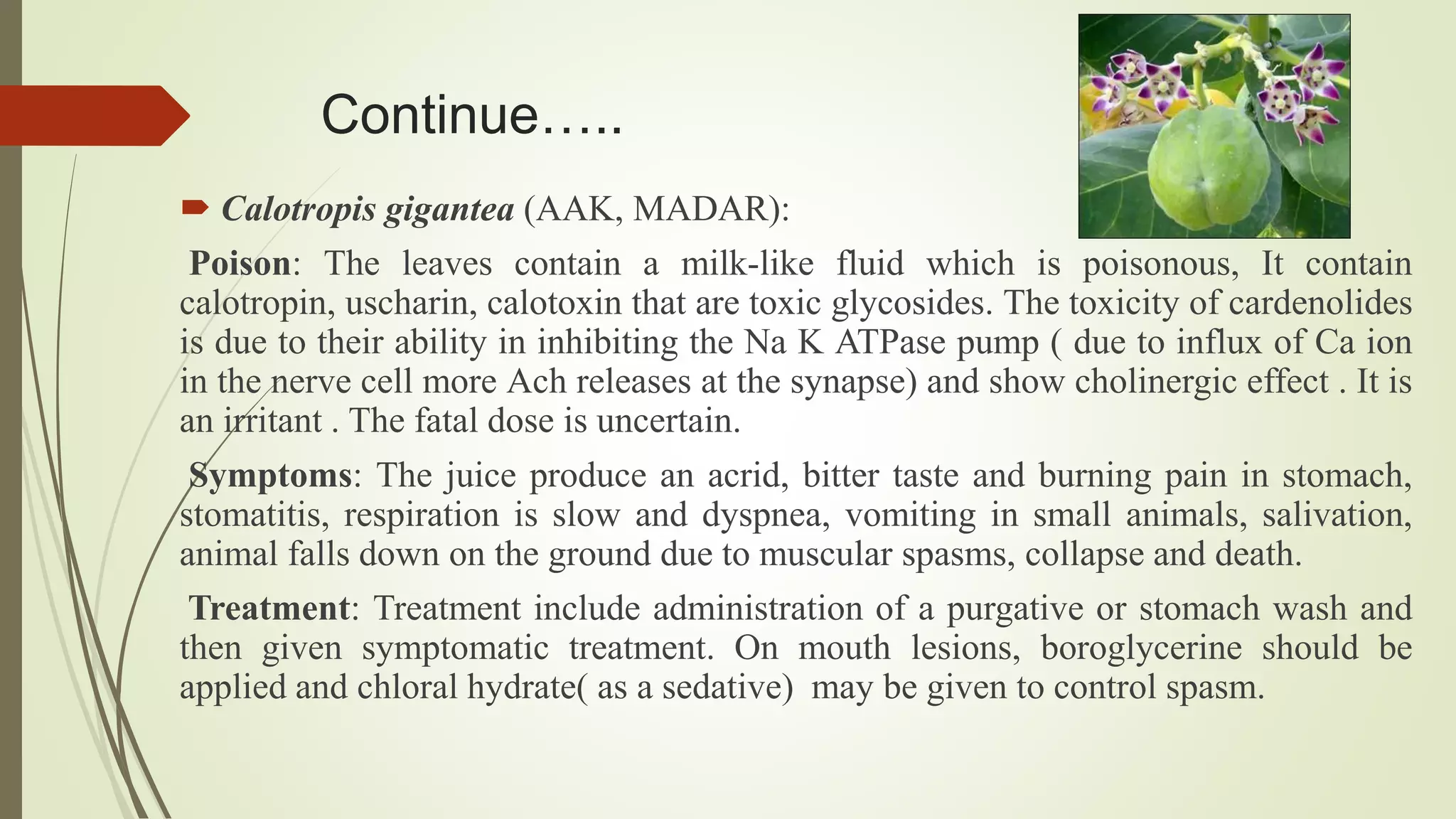 Group 5 animal and plant poison.pptx