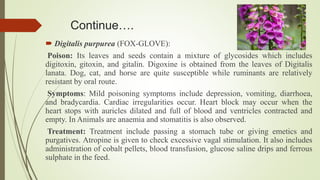 Group 5 animal and plant poison.pptx