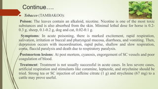 Group 5 animal and plant poison.pptx