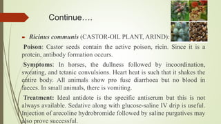 Group 5 animal and plant poison.pptx