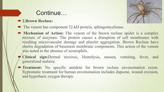 Group 5 animal and plant poison.pptx