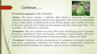 Group 5 animal and plant poison.pptx