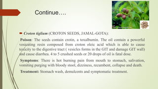 Group 5 animal and plant poison.pptx