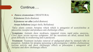 Group 5 animal and plant poison.pptx