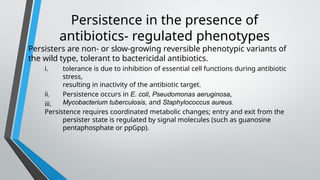 Group five Bacteriology Presentation.pptx