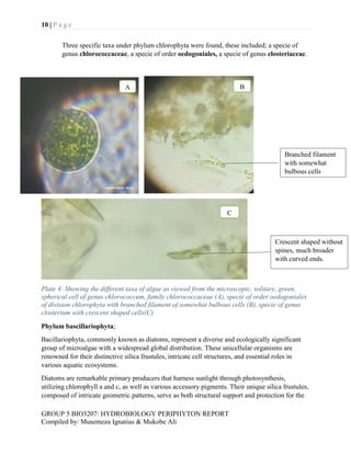PERIPHYTON SAMPLING PRACTICAL REPORT.pdf