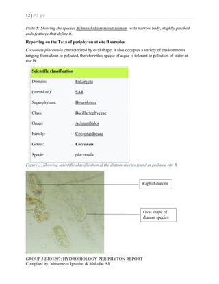 PERIPHYTON SAMPLING PRACTICAL REPORT.pdf