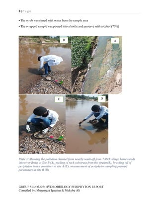 PERIPHYTON SAMPLING PRACTICAL REPORT.pdf