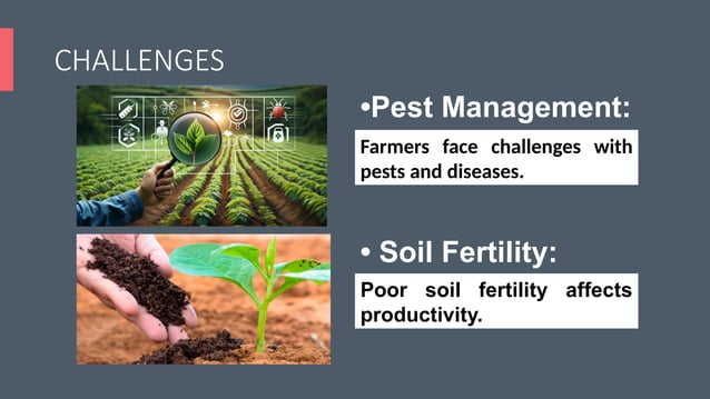 Challenges & Opportunities in Philippine Agribusiness | PPTX