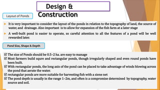 design and construction of fin fish farm | PPTX
