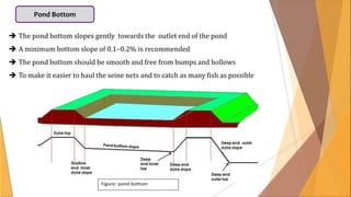 design and construction of fin fish farm | PPTX