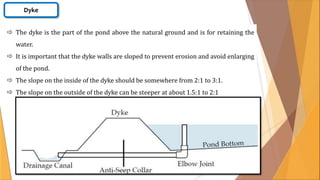 design and construction of fin fish farm | PPTX
