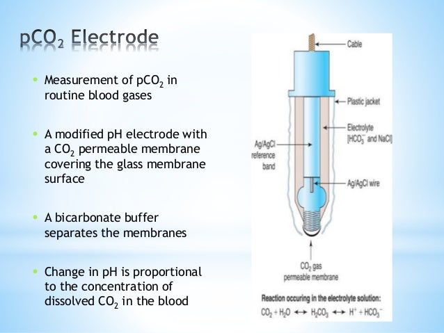 [Group 5] electrochemistry, electrophoresis, isoelectric focusing