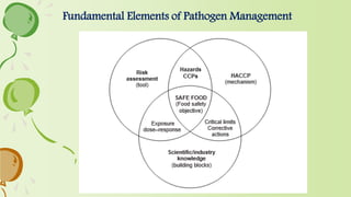 Group 5 ( microbial hazard and risk assessment ) | PPTX