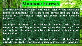 montane forests class 9 geo | PPTX