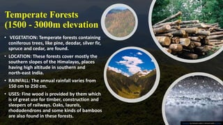 montane forests class 9 geo | PPTX