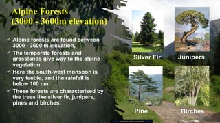 montane forests class 9 geo | PPTX
