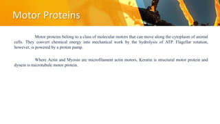 Motor Proteins | PPTX