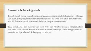 Group 5 phylum annelida | PPT