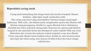 Group 5 phylum annelida | PPT