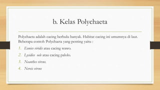 Group 5 phylum annelida | PPT