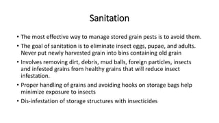 CONTROL OF STORAGE INSECT PESTS | PPTX