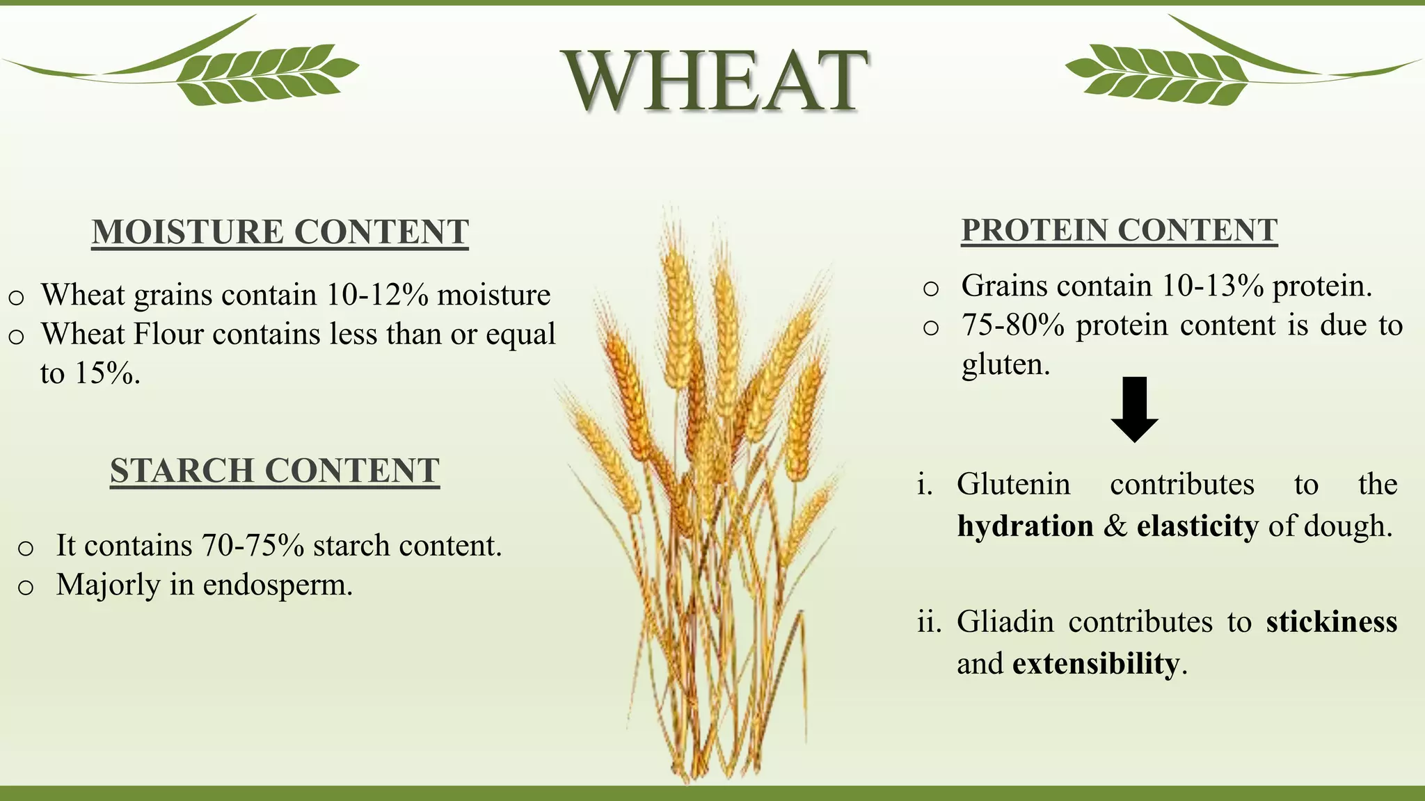 Properties of all Cereal Grains | PPTX