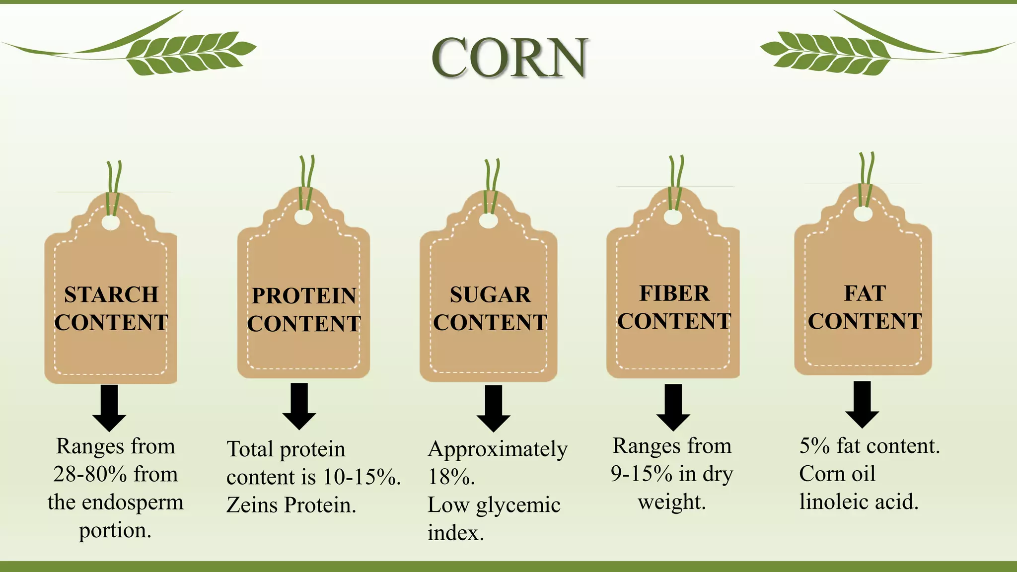 Properties of all Cereal Grains | PPTX
