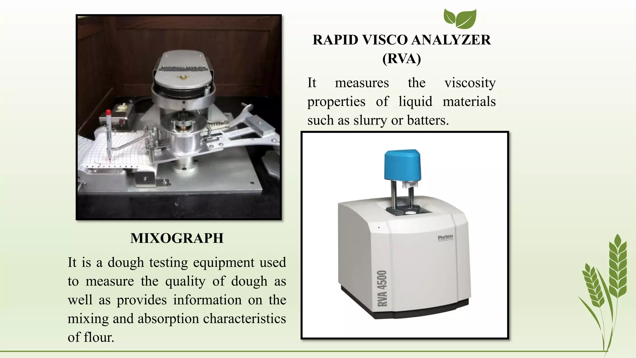 Properties of all Cereal Grains | PPTX
