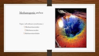 (Group5)respiration | PPT | Chemistry | Science