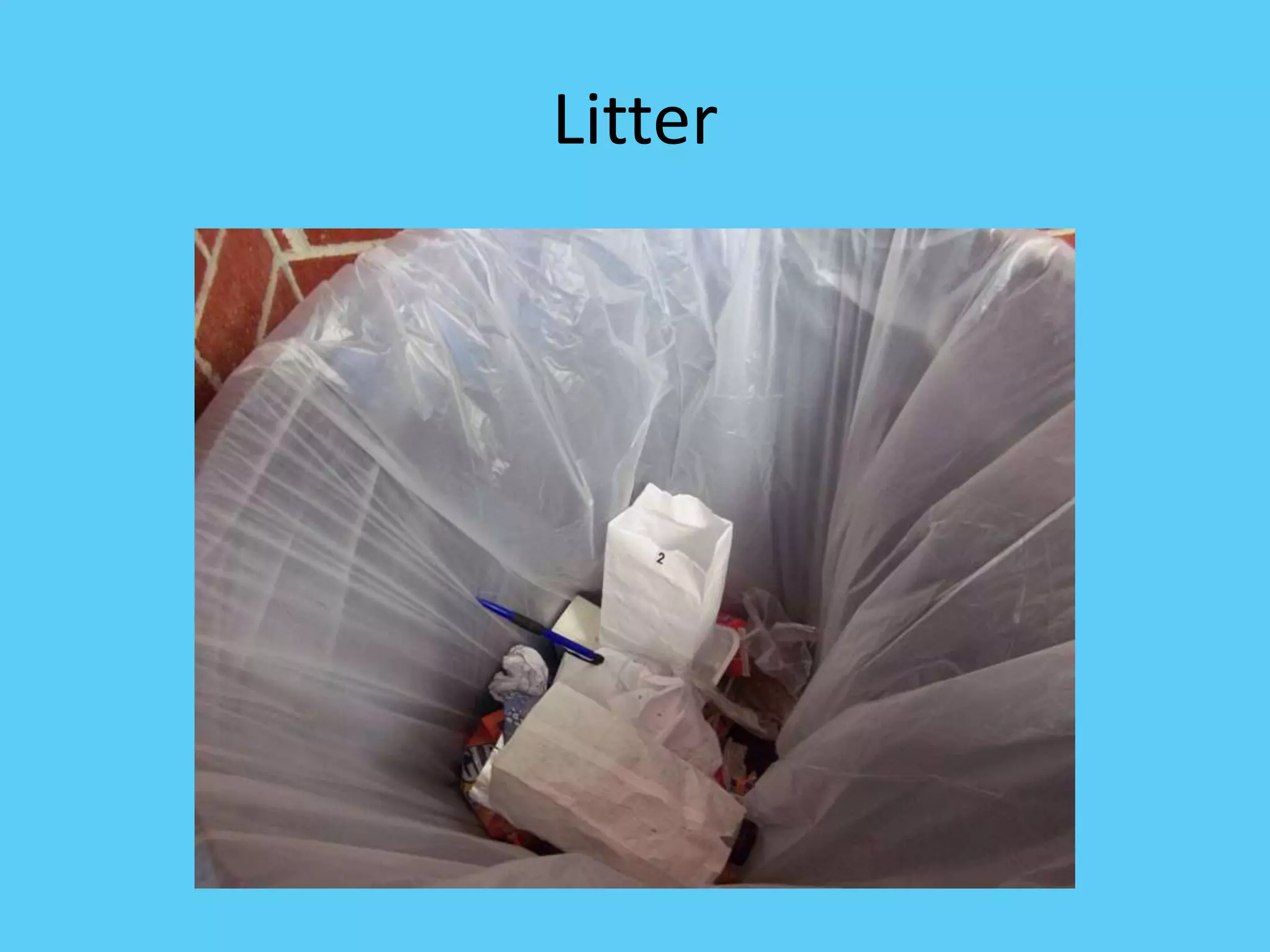 Group5 scavengerhuntpowerpoint | PPT