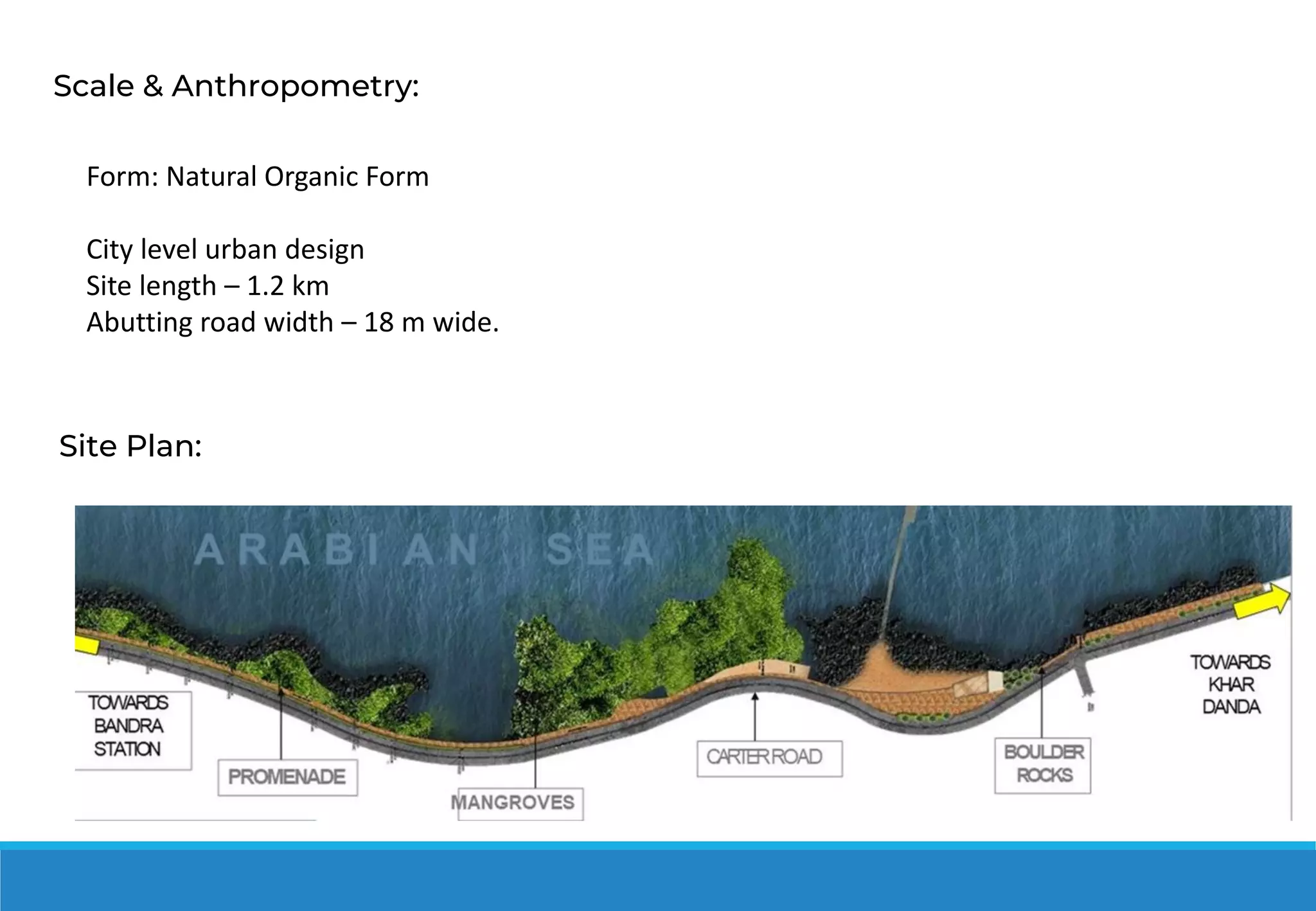 Urban Waterbodies | PDF