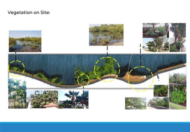 Urban Waterbodies | PDF