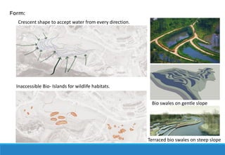 Urban Waterbodies | PDF