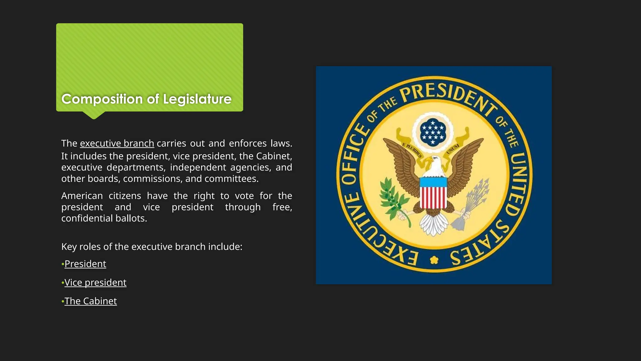 Group 5_ USA_ executive and its powers.pptx